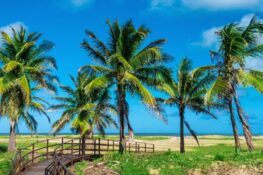 O que fazer em Boa Vista e curtir o melhor da capital de Roraima